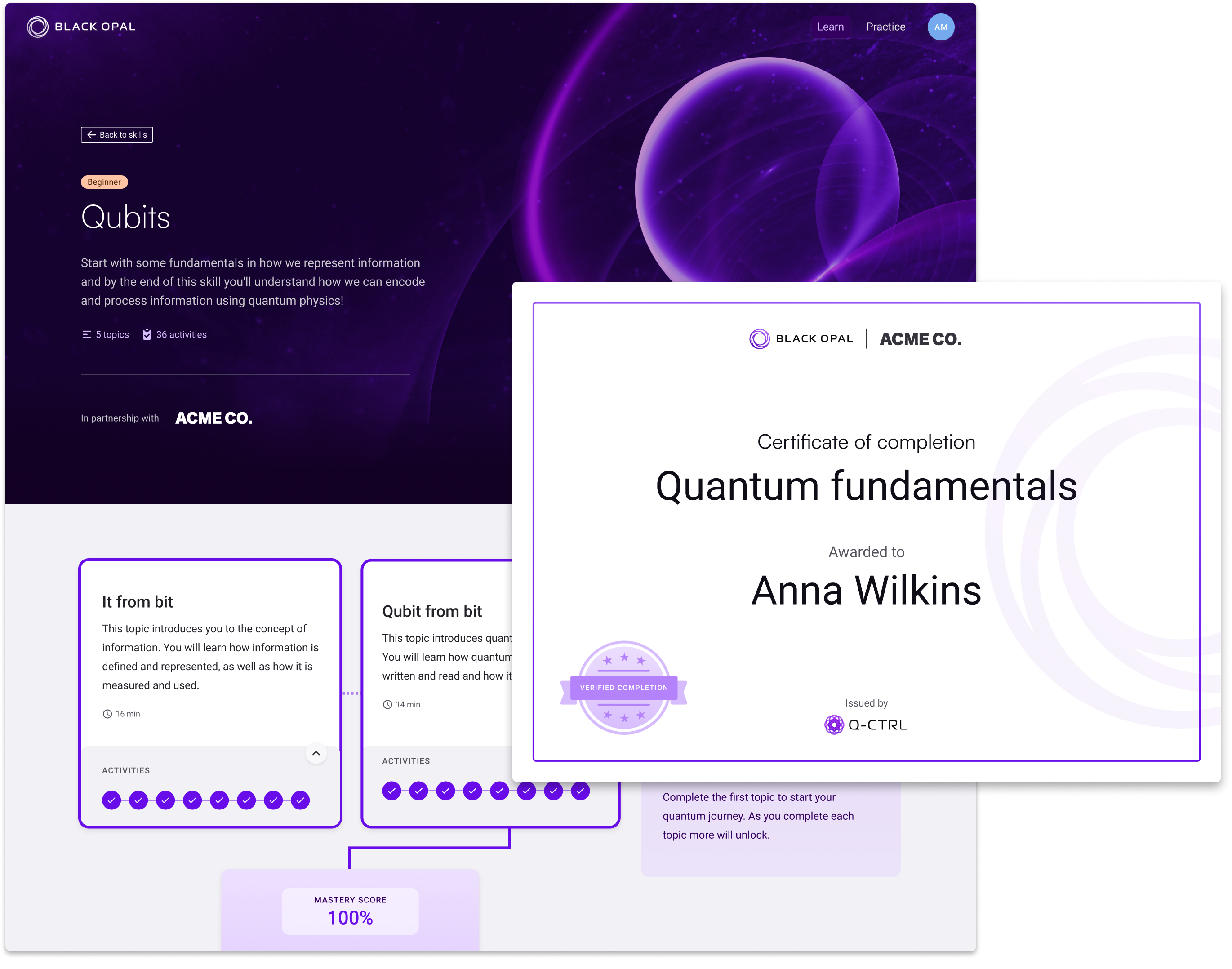 Enterprise features to prepare your organization for the quantum future | Q-CTRL